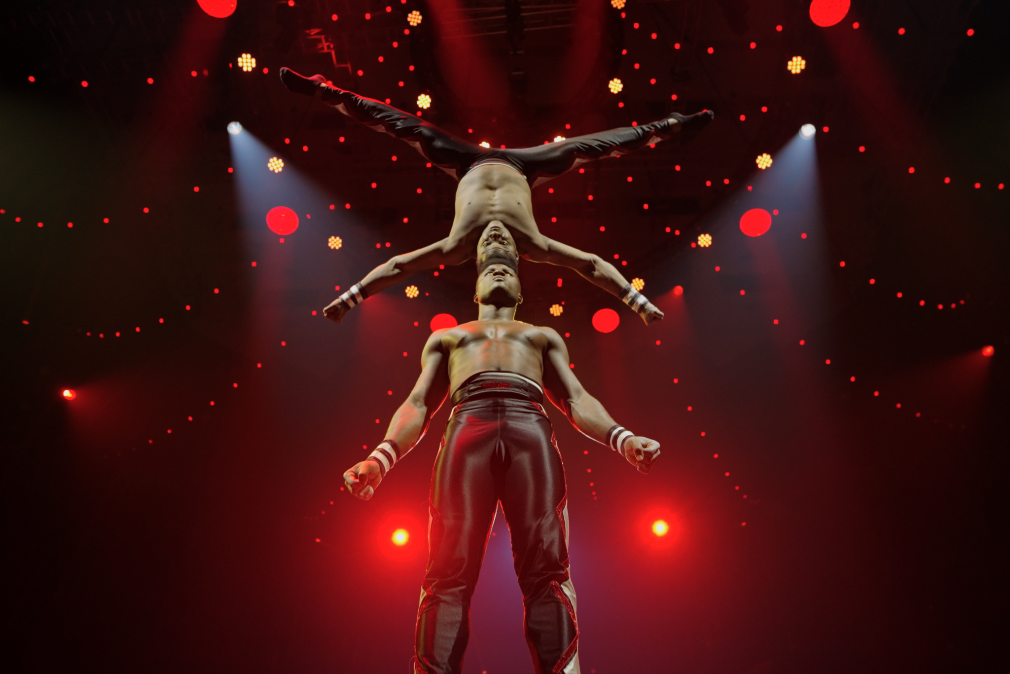 Meet the Out of This World Cast of Cirque Alice • Adelaide Festival Centre